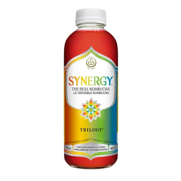 GT's Synergy Trilogy Kombucha, 480ml - Organic & raw - Walmart.ca