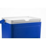 Coleman Cooler 20 Can Stacker Blue - Walmart.ca