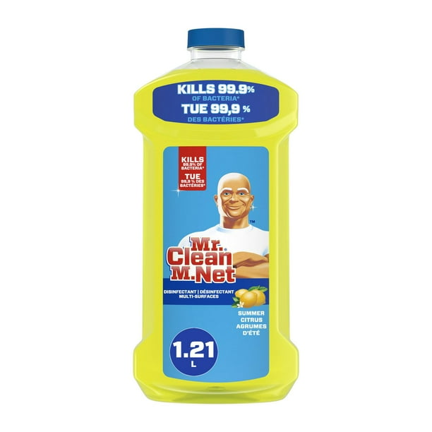 Mr. Clean Antibacterial Multi Surface Cleaner with Summer Citrus Scent ...