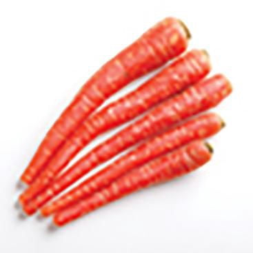 Click here for Indian Carrot prices