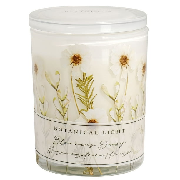 Botanical Light 454g Blooming Daisy Soy Wax Blended Scented Candle ...