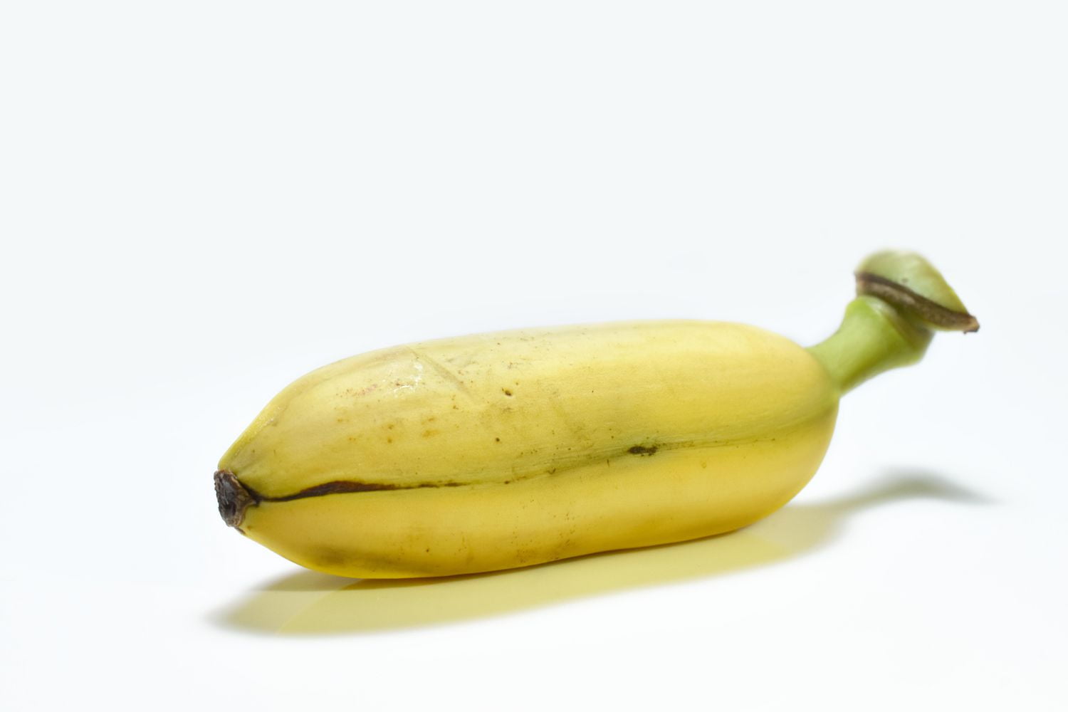 Click here for Banana  Baby prices