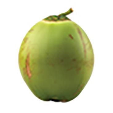Click here for Coconut  Green prices