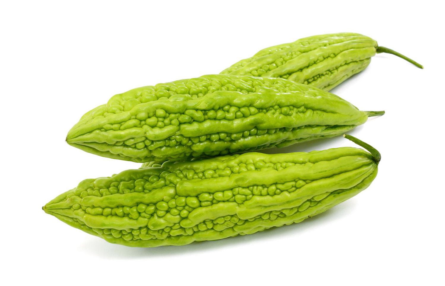 Click here for Bitter Melon prices