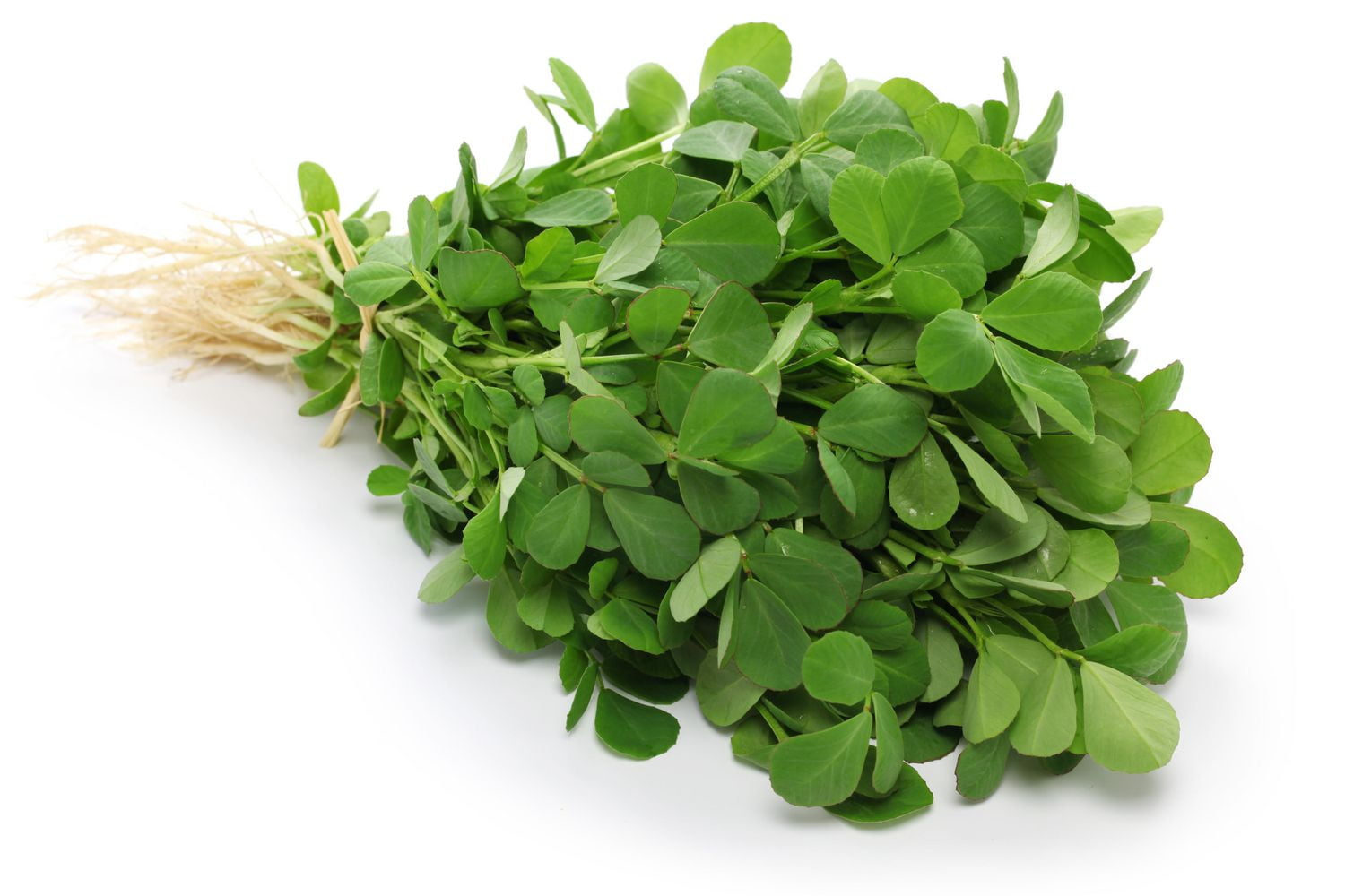 Click here for Methi  Herbs prices