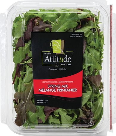 Fresh Attitude Spring Mix | Walmart Canada