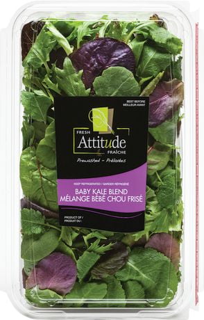 Buy Prewashed Baby Kale Blend Online | Walmart Canada