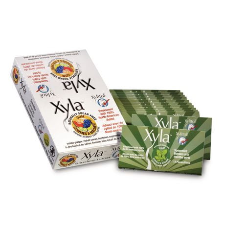 Xyla Naturally Sugar Free Xylitol Spearmint Gum | Walmart Canada