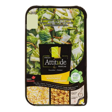 Fresh Attitude Southwest Salad Kit | Walmart Canada