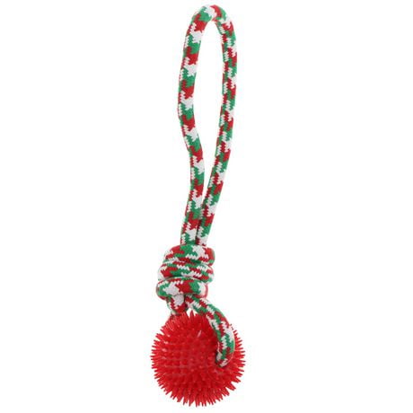 Vibrant Life Holiday Rope Dog Toy | Walmart Canada