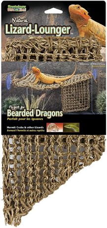 Penn-Plax Lizard lounger-Large - Walmart.ca