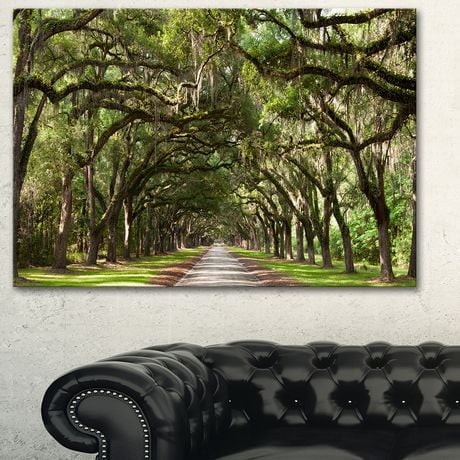 Click here for Design Art Live Oak Tunnel Photography Canvas Art... prices