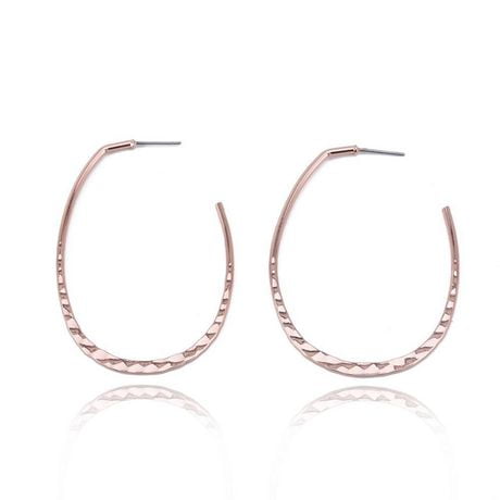 Click here for Allison Rose Atelier Oval Hoop Earrings Hammered S... prices
