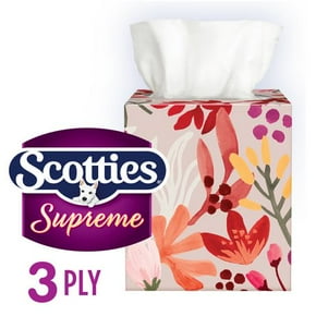 Facial Tissue | Walmart Canada