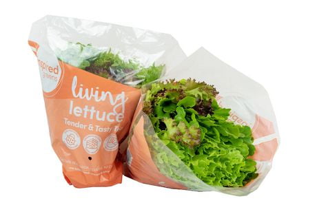 Inspired Greens Living Lettuce Tender & Tasty Trio, Living Lettuce Trio ...