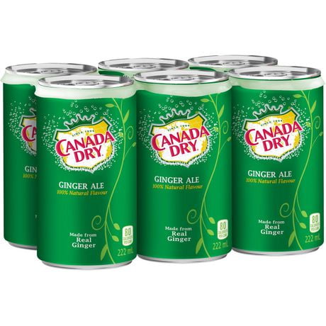 Canada Dry® Ginger Ale 222 mL Mini-Cans, 6 Pack | Walmart Canada