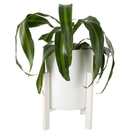 Truu Design Classic White 6-inch Countertop Planter | Walmart Canada