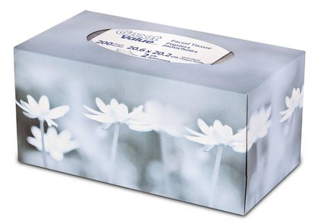 Great Value Facial Tissue 200's 2 ply | Walmart Canada