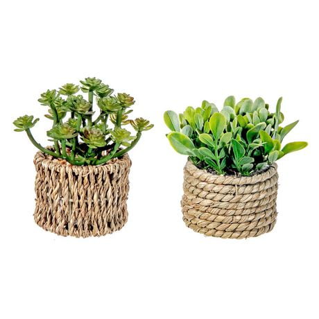 Click here for Ih Casa D Cor Artificial Plant In Rope Pot (Asstd)... prices