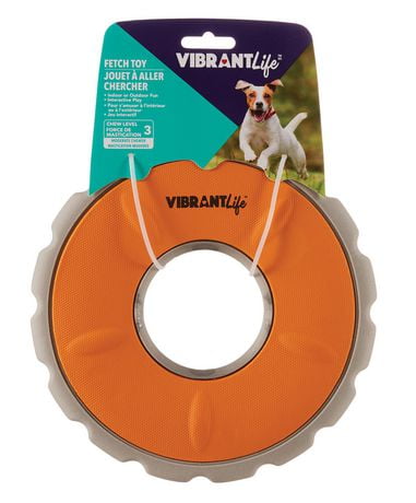 VibrantLife Active Disc, VL Aactive Disc - Walmart.ca
