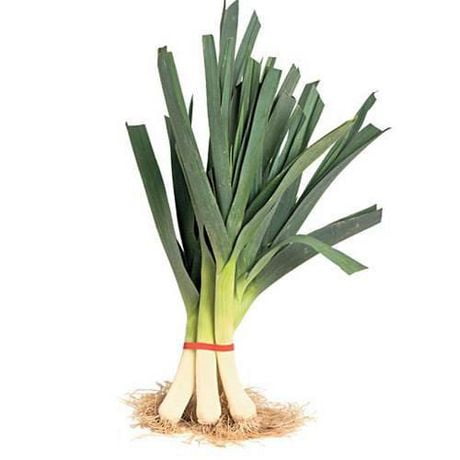 Leeks bunched - medium, x6 - Walmart.ca