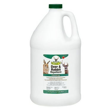 Bobbex Ready To Use Deer and Rabbit Repellent - Walmart.ca