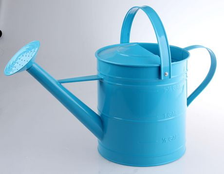 GI 8L METAL WATERING CAN | Walmart Canada