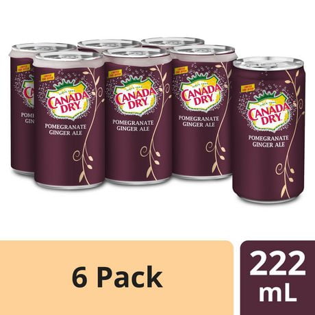 Canada Dry Pomegranate Ginger Ale 222 mL Mini-Cans, 6 Pack - Walmart.ca