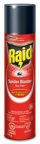 Raid® Spider Blaster Bug Killer | Walmart.ca