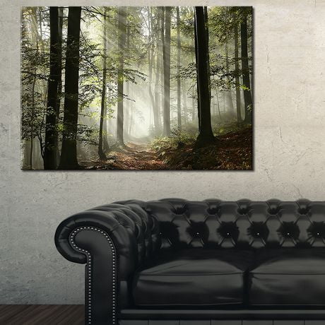 Click here for Design Art Light In Dense Fall Forest With Fog Lan... prices