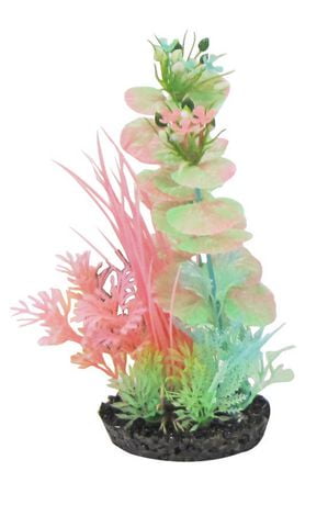 Click here for Penn-Plax Glow Plant Multi prices