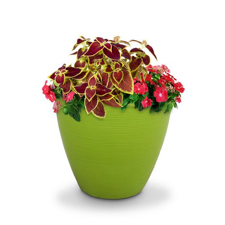 Click here for Mayne Modesto 20 Tall Planter Macaw Green prices