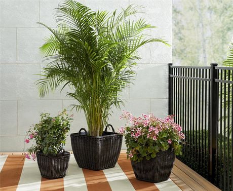 Click here for Cosco 3-Piece Indoor/Outdoor Nesting Pot Planter B... prices