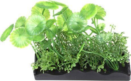 Click here for Penn-Plax Penn Plax Foregrounder Aqua-Scaping Bunc... prices