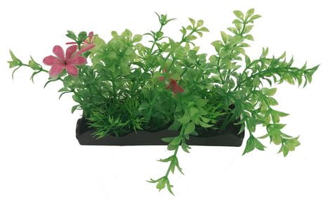 Click here for Penn-Plax Bunch Plant Pink & Green Pink prices