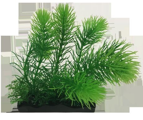 Click here for Penn-Plax Green Bunch Plant Green prices
