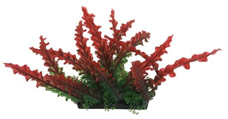 Click here for Penn-Plax Red Bunch Plant Red prices