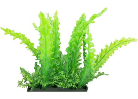 Click here for Penn-Plax Sword Plant Green prices