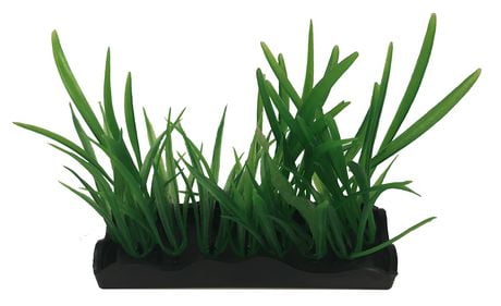 Click here for Penn-Plax Hairgrass Plant Green prices