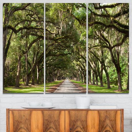 Click here for Design Art Live Oak Tunnel Photography Canvas Art... prices