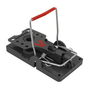 Rat Traps | Walmart Canada
