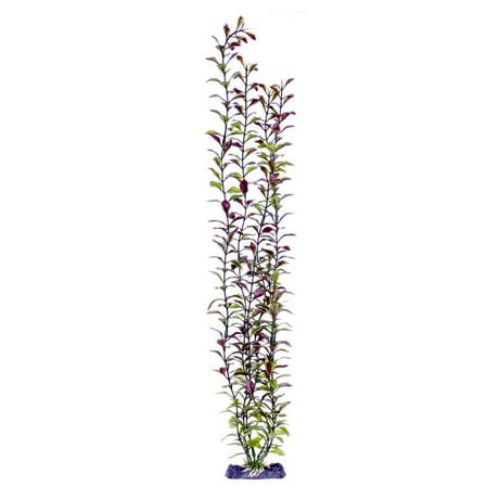Click here for Penn-Plax Penn Plax Sinker Plant Blooming Ludwigia... prices