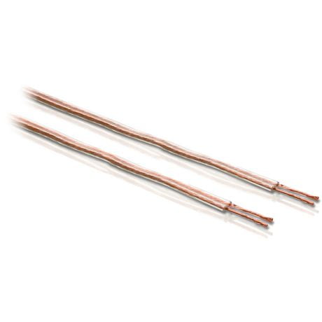 Philips Speaker Wire 100 ft - Walmart.ca