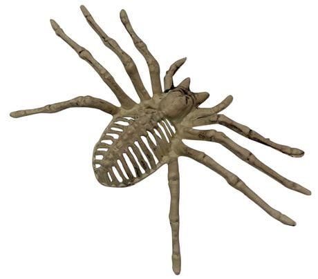 WAY TO CELEBRATE SKELETON SPIDER | Walmart Canada