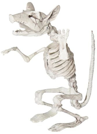 WAY TO CELEBRATE SKELETON RAT - SITTING | Walmart Canada