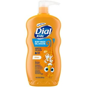 Dial Body Wash & Shower Gel | Walmart.ca