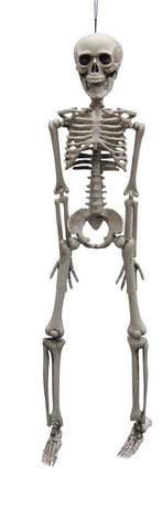 WAY TO CELEBRATE SKELETON - BONE COLOR - Walmart.ca