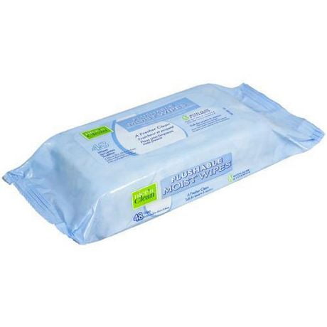 Nice N Clean Adult Wipes Refill | Walmart Canada