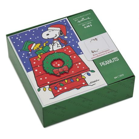 Connections From Hallmark Peanuts Surprise for Snoopy French-Language ...
