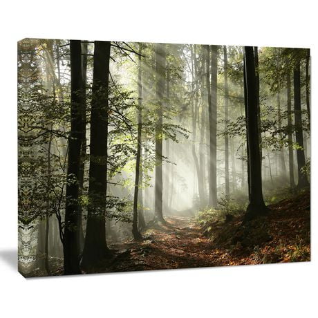 Click here for Design Art Light In Dense Fall Forest With Fog Lan... prices